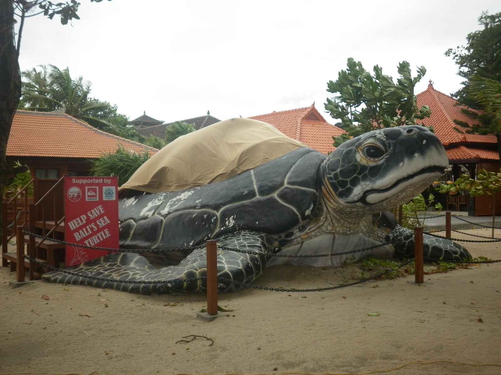 10 Keragaman Hayati di Bali: Keajaiban Tersembunyi