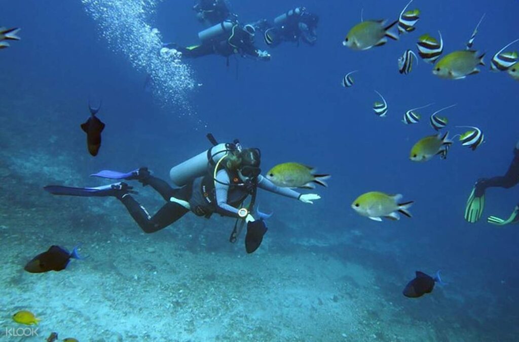 Plongée à Bali : 9 Plages Idéales pour la Plongée