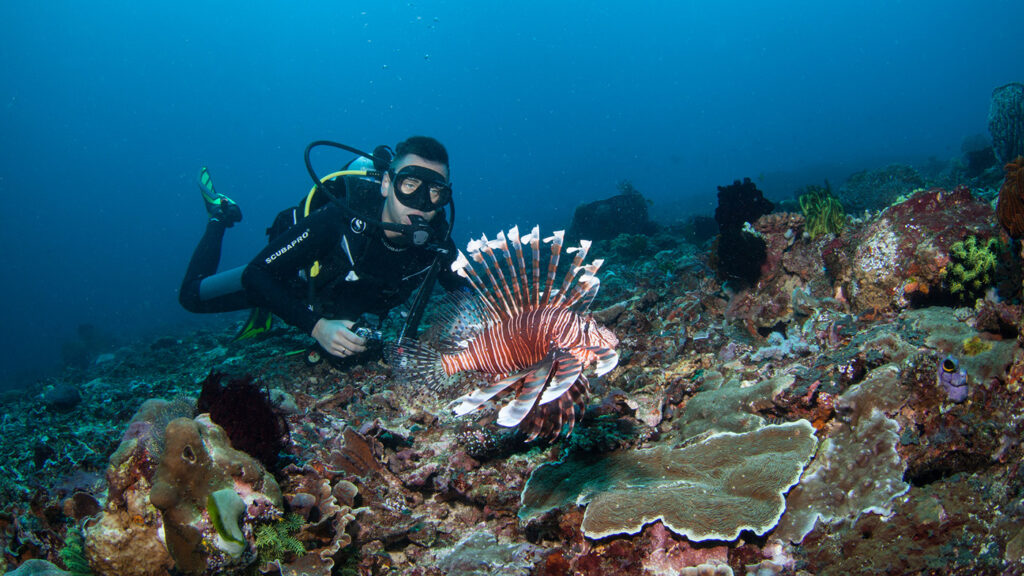 Scuba Diving in Bali: 9 Ideal Beaches for Diving