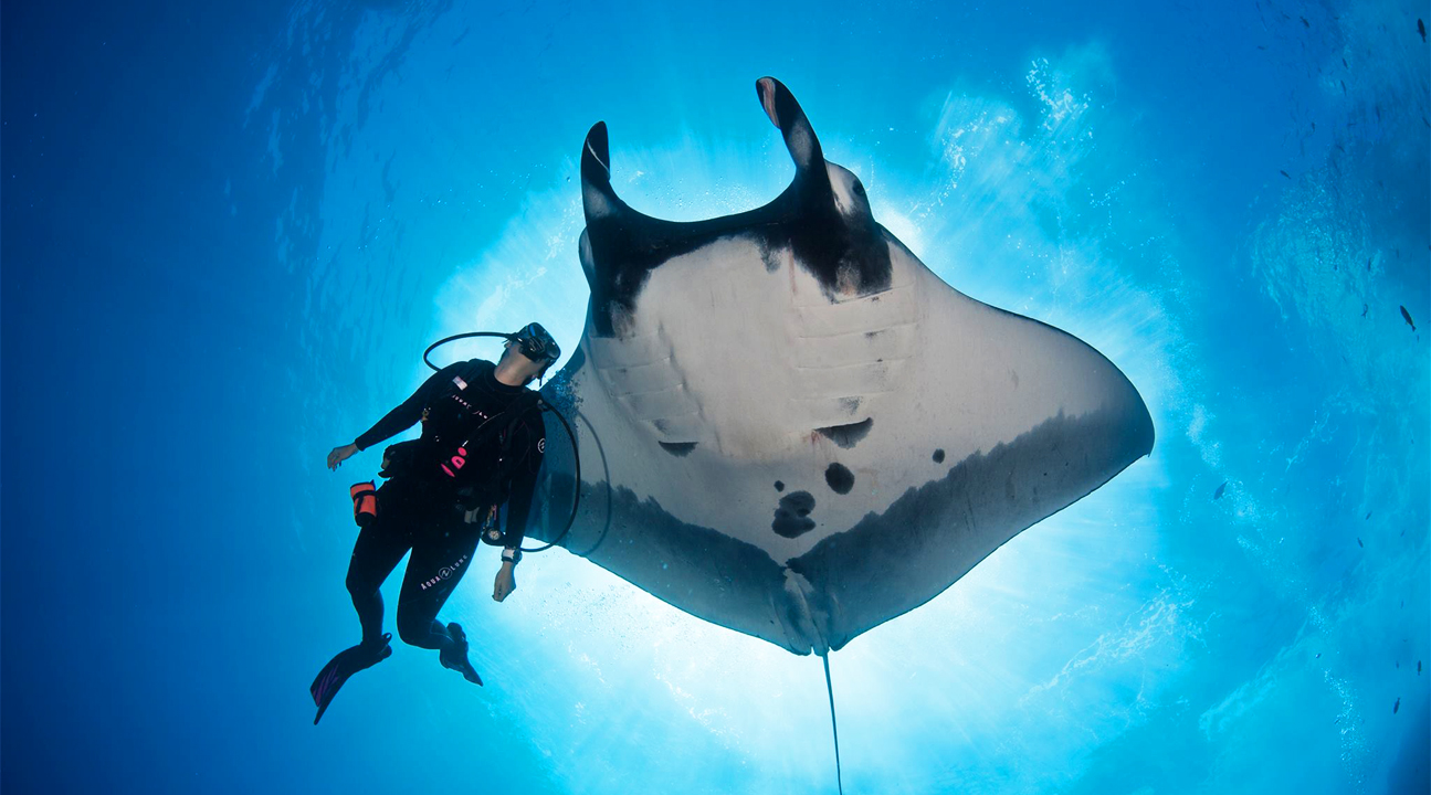 Scuba Diving in Bali: 9 Ideal Beaches for Diving